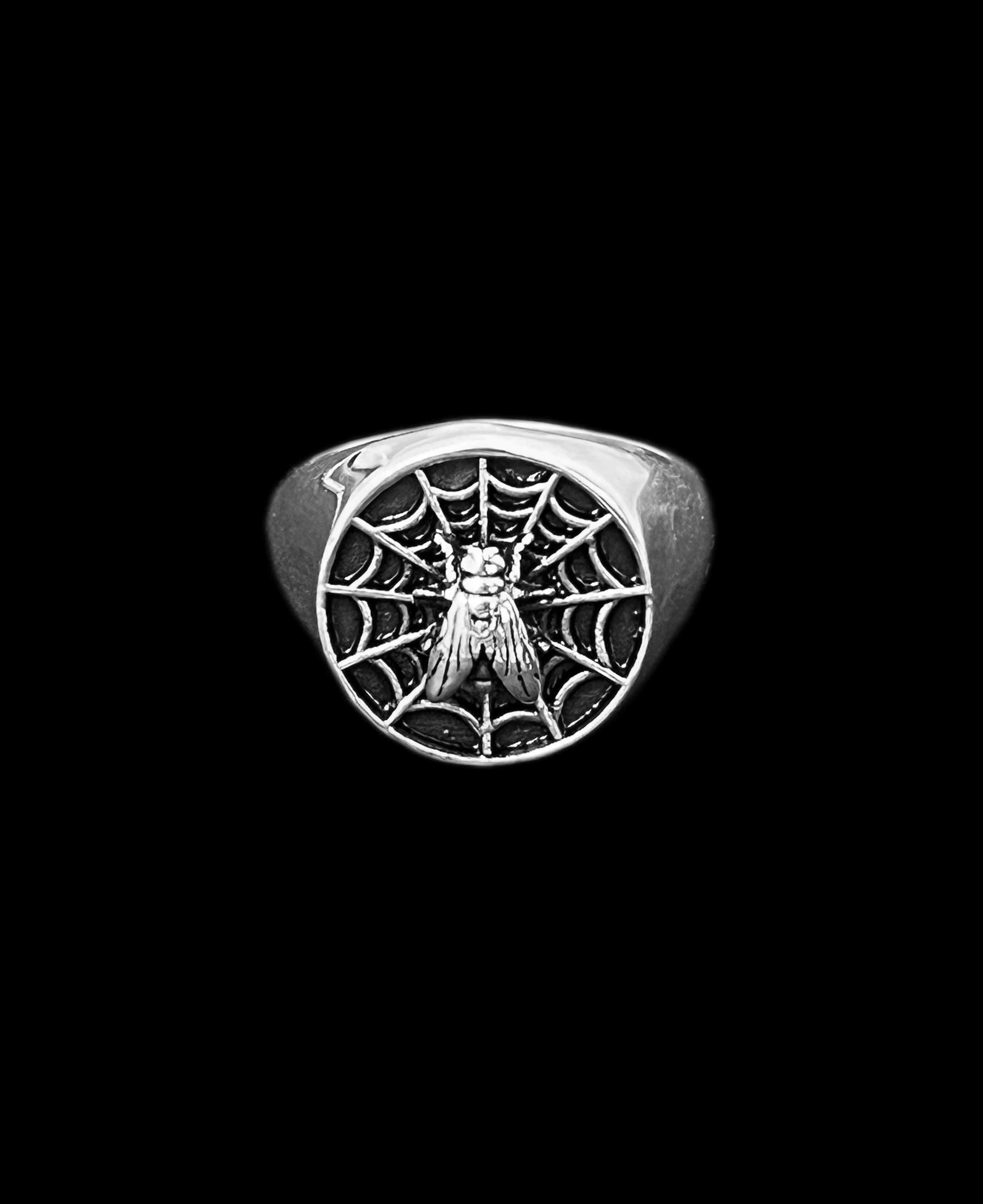 Fly Web Ring – Lesser of 2 Evils